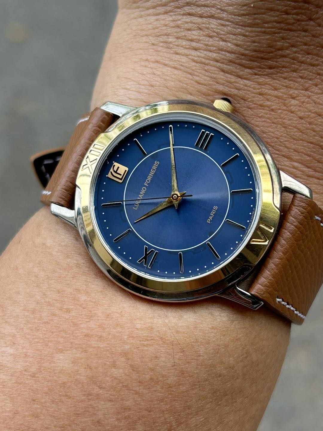 Luciano Forneris Paris Citizen Eco-Drive Watch E030-K15788 CK/ case no.041068, made in Japan ...