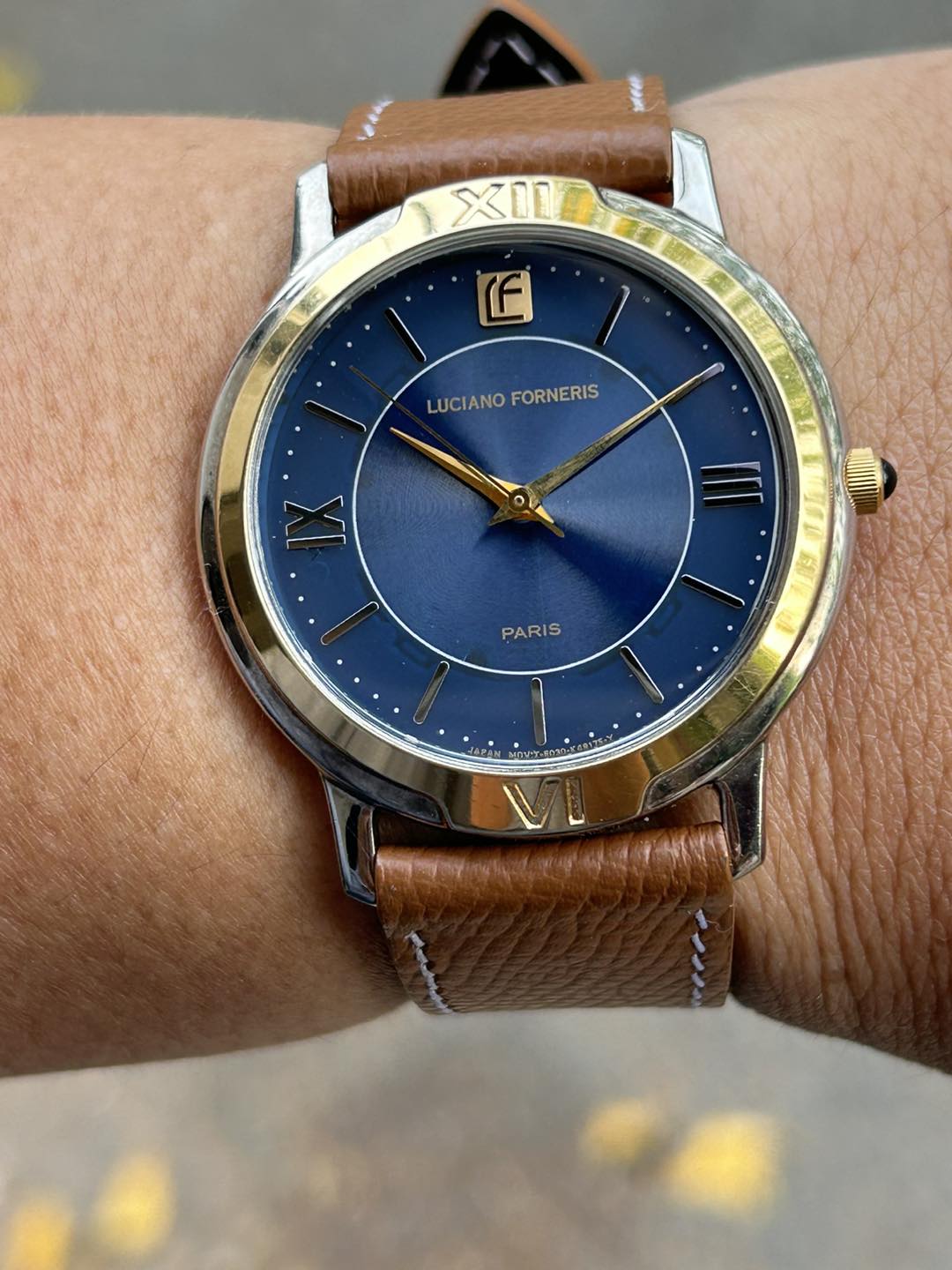 Luciano Forneris Paris Citizen Eco-Drive Watch E030-K15788 CK/ case no.041068, made in Japan ...