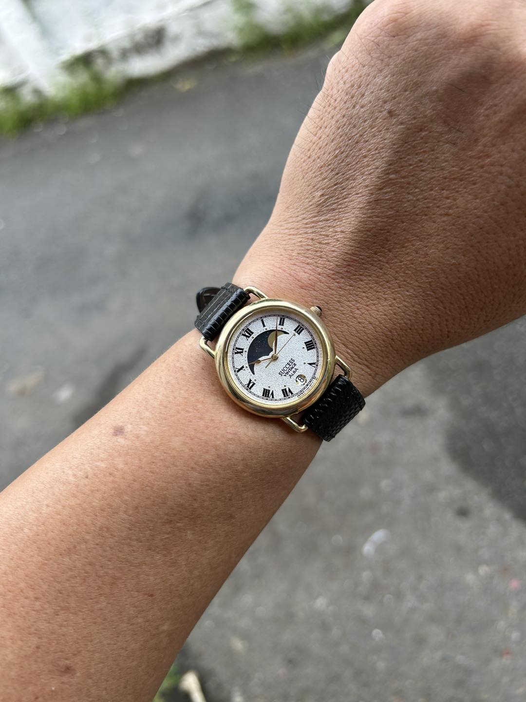 Seiko Success Vintage Alba Moon Phase Quartz V338-6011 / case no.941619 ...