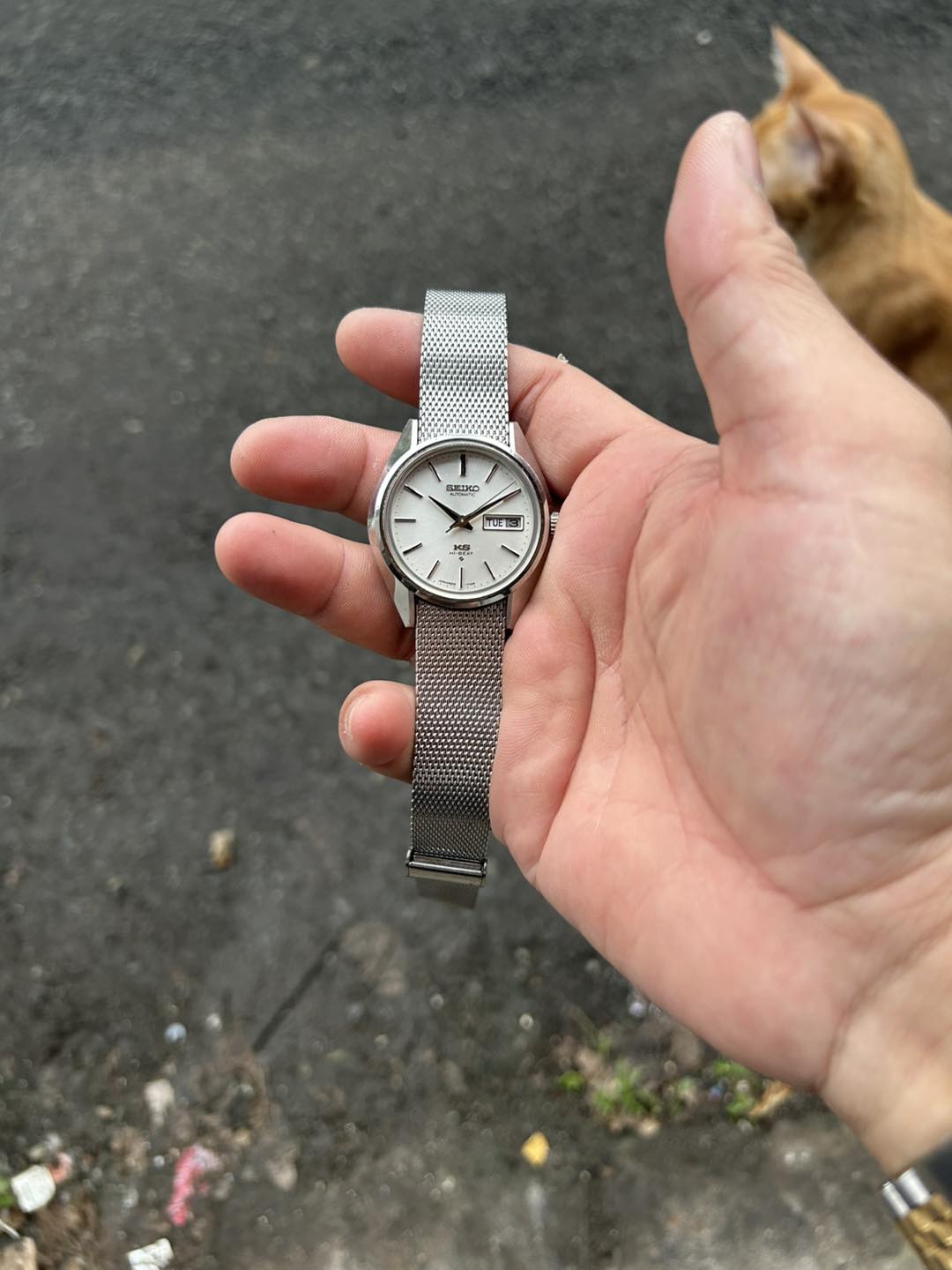 Seiko KS automatic watch 5626-7113 day date,hi beat 28800 / case no ...