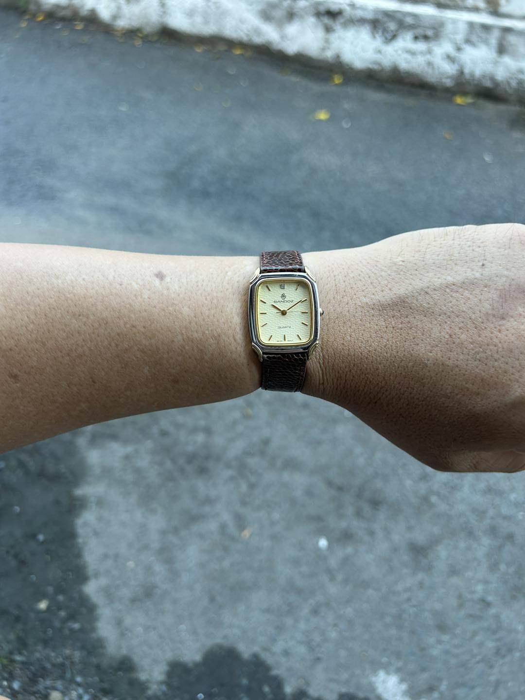 Sandoz Quartz watch SM-1009 stainless steel back, Swiss Made. – Long's ...