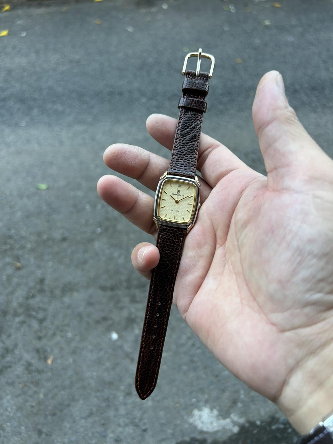 Sandoz Quartz watch SM-1009 stainless steel back, Swiss Made. – Long's ...